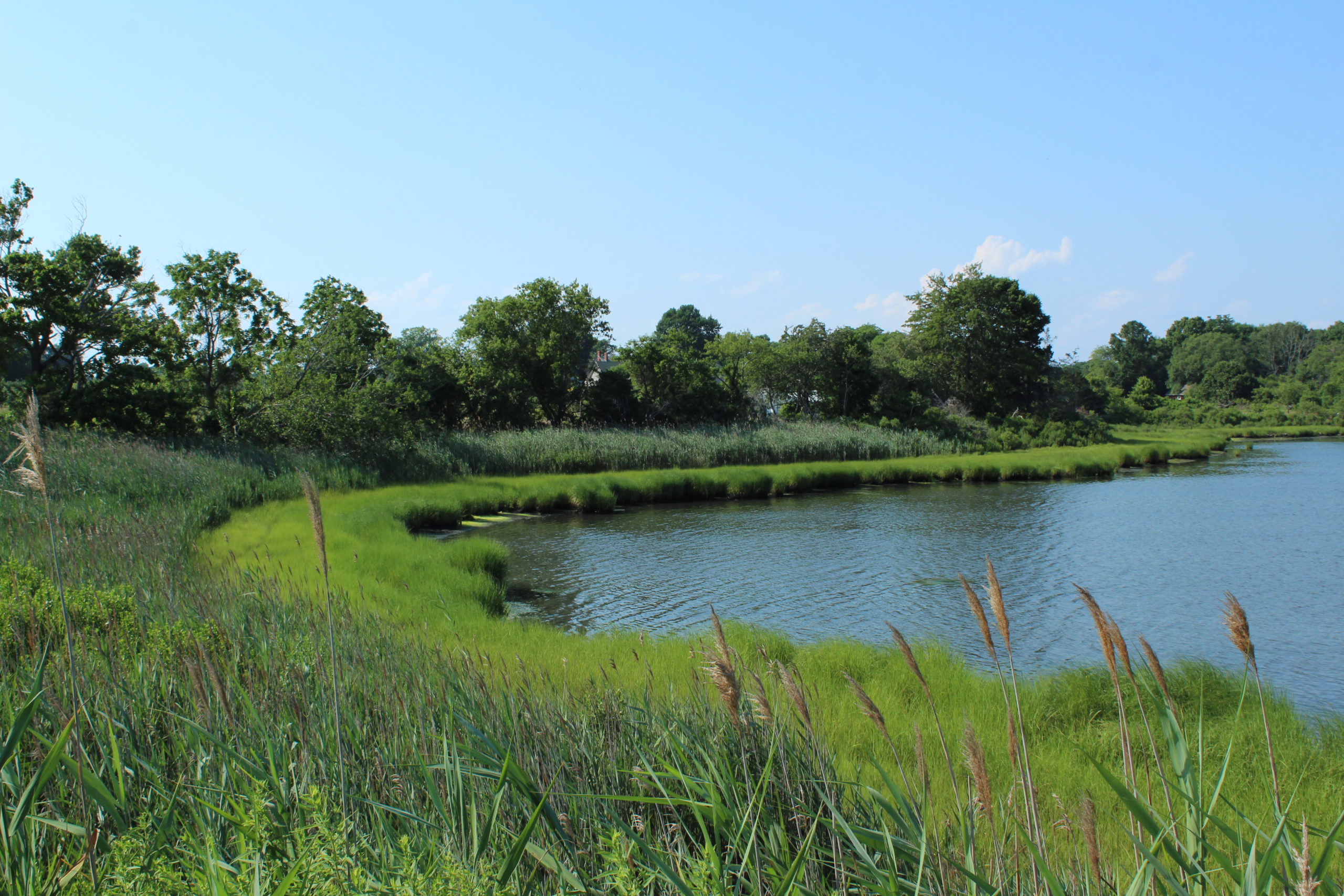 Salt Air Farm Walking Tour of Dike System - Northforker