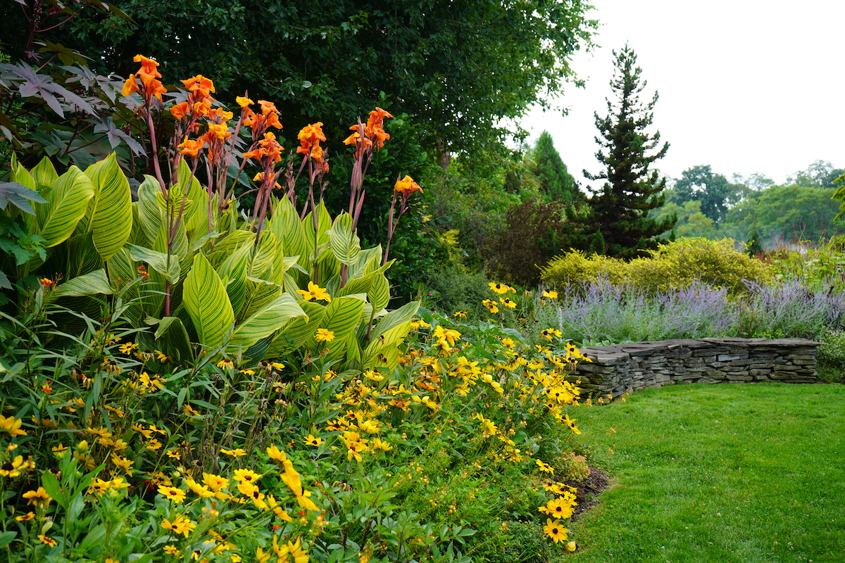 Beleaf Calverton, the North Fork's first recreational cannabis ...