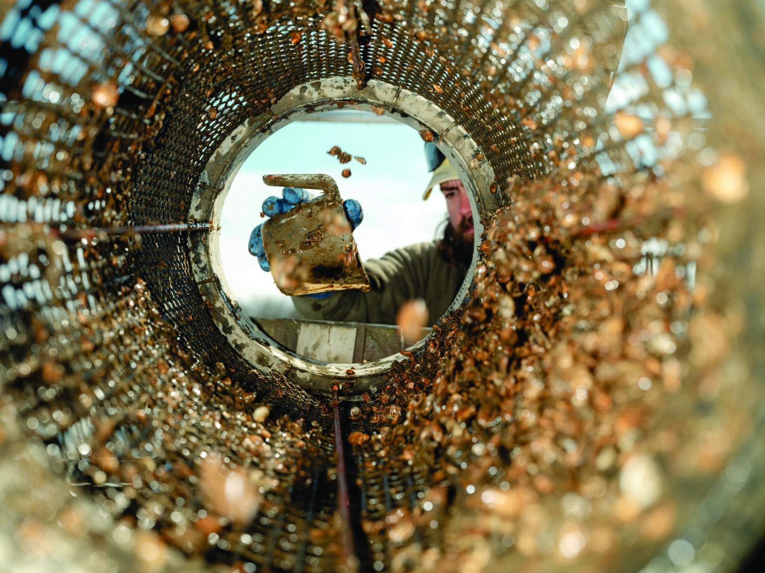 Creature Comforts: The North Fork Animal Welfare League goes the extra ...