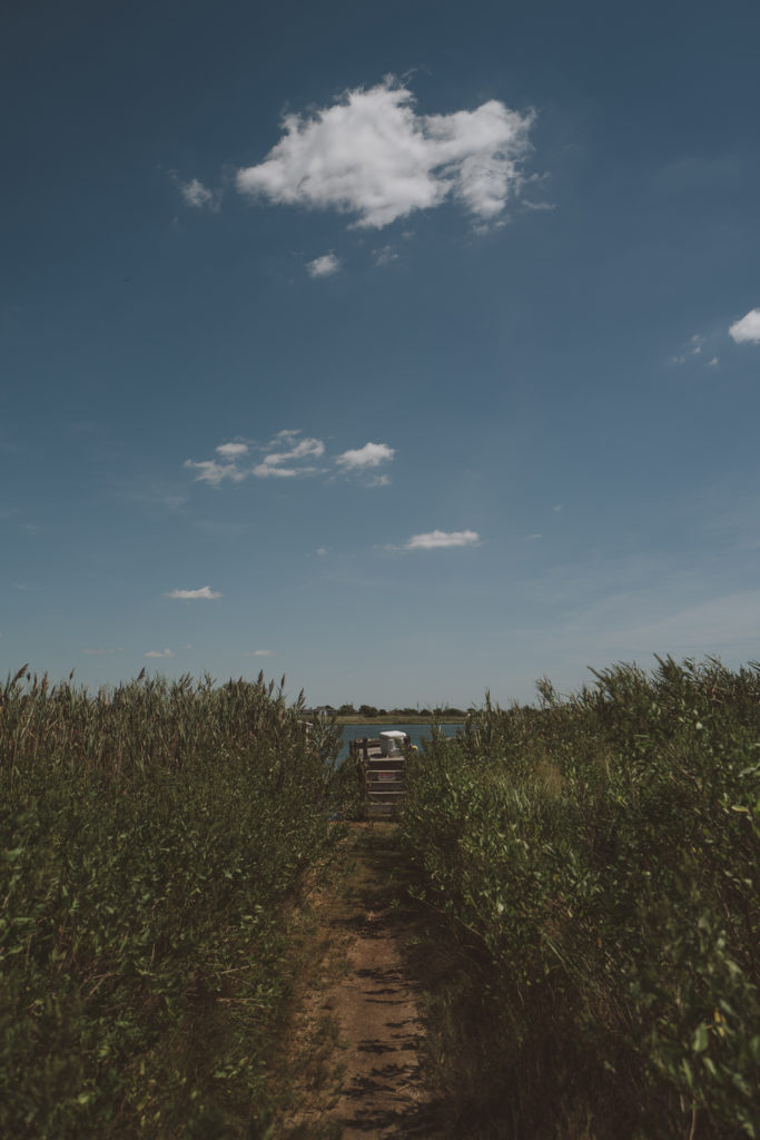 This oyster farmer’s got game: Basketball legend Sue Wicks follows her ...